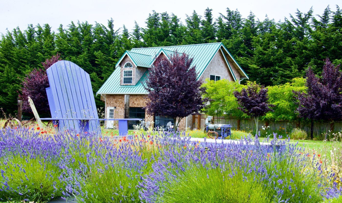 The Farm House At In Bloom Lavender Farms The Farm House At In Bloom Lavender Farms